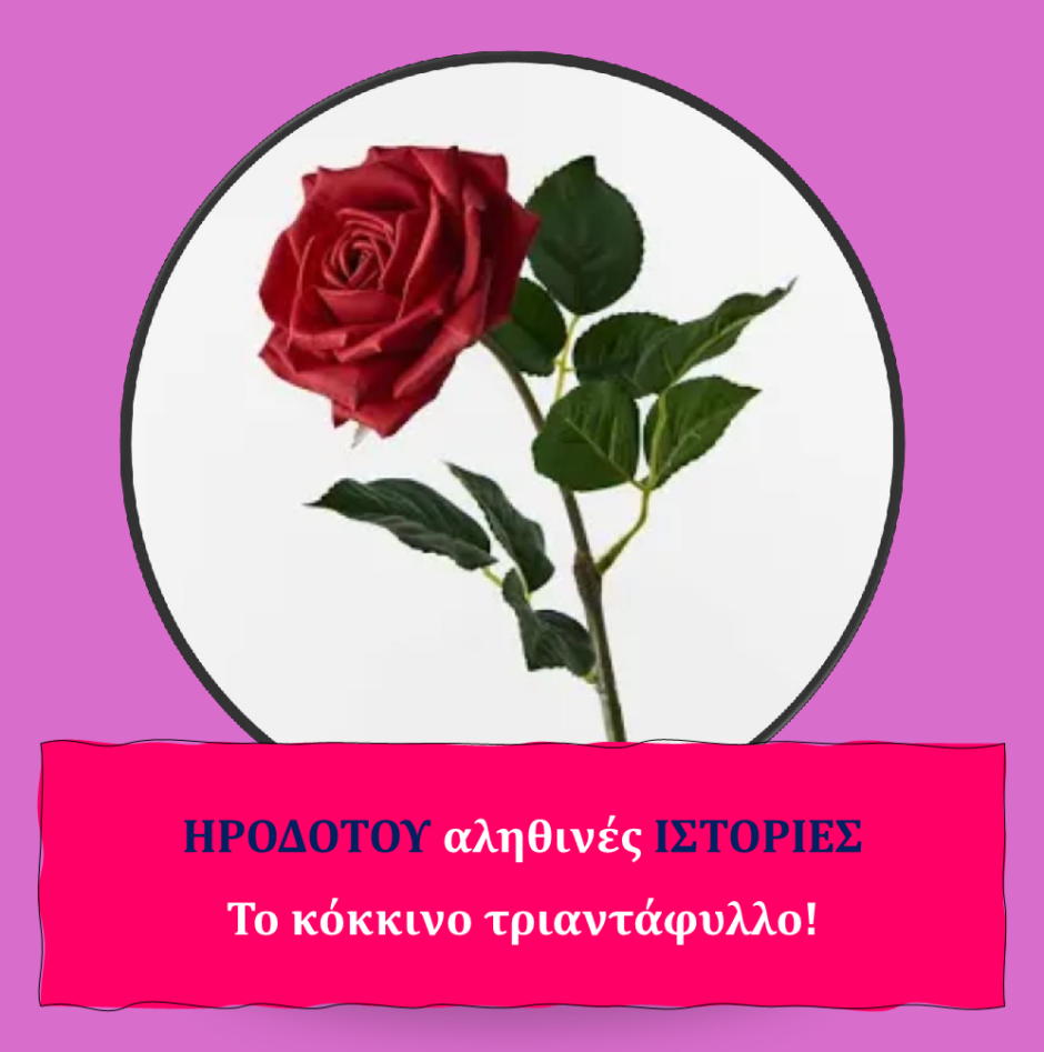 60. Το κόκκινο τριαντάφυλλο!🌹 - Pancypriotatos